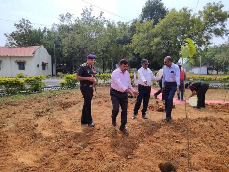 TREE PLANTATION – Mastermind Foundation